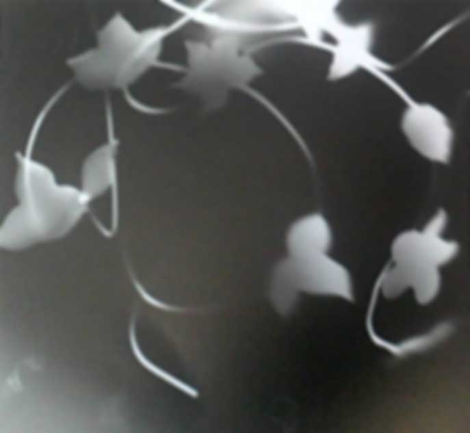 “Flowers” Photogram – WILL MOBBERLEY FINE ARTIST